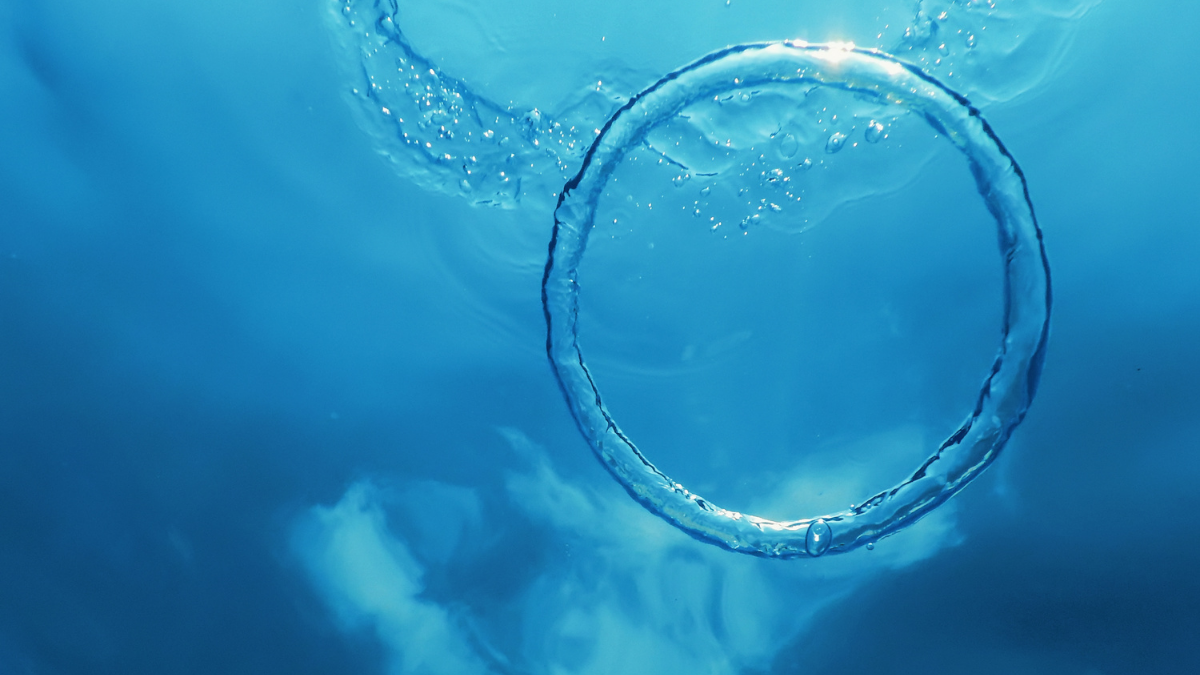 ASPIS supports NAMs for the healthier environment - ONTOX project