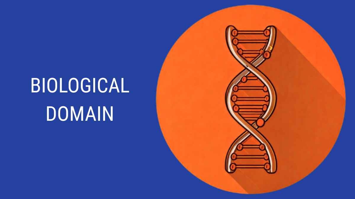 WP 1 - Biological domain - ONTOX project